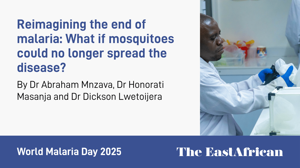 Reimagining the end of malaria: What if mosquitoes could no longer ...